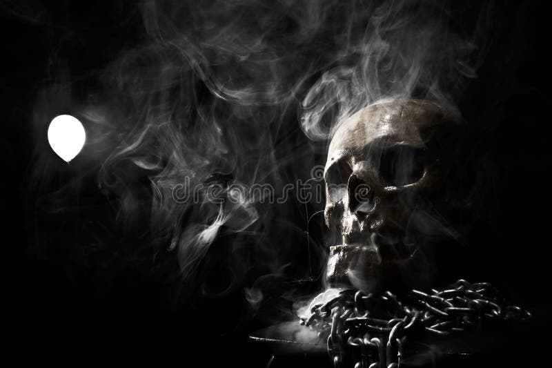 Front of real skull stock photo. Image of anatomy, fantasy - 69605678