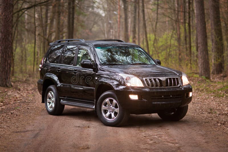 Front Side of the Black SUV in Forest Stock Photo - Image of modern ...