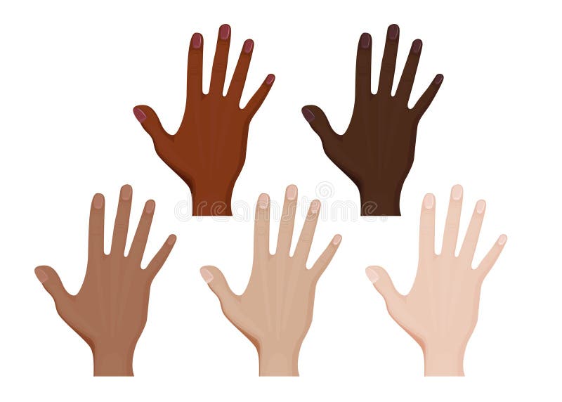 Front Side of Hands Vector Illustration Design. Stock Illustration ...