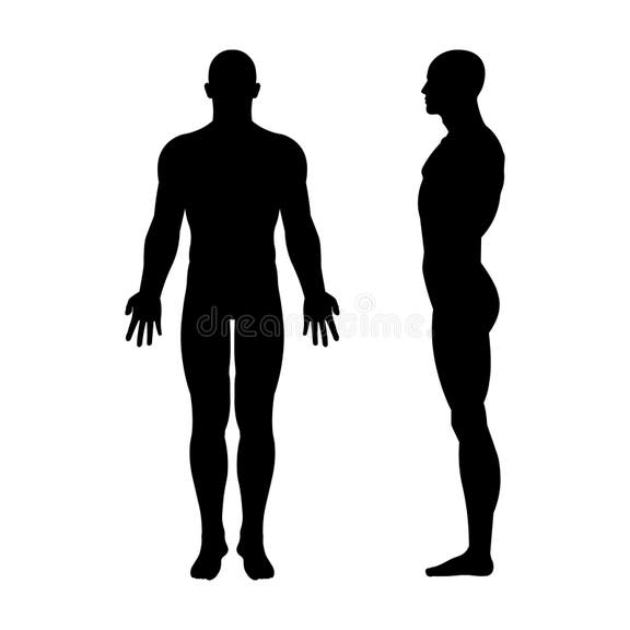 Human Silhouette Stock Illustrations 513 355 Human Silhouette Stock