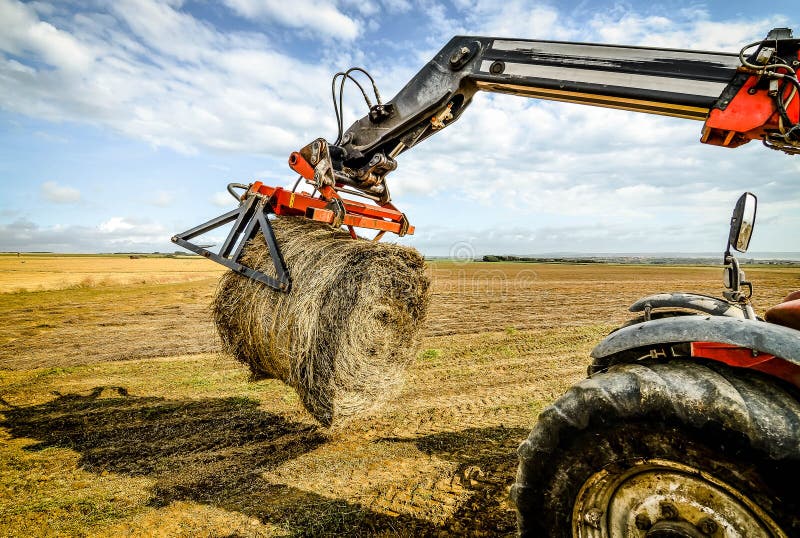 Tractor Equipped with a Fork To Handle the Stacks of Flax Close-up ...