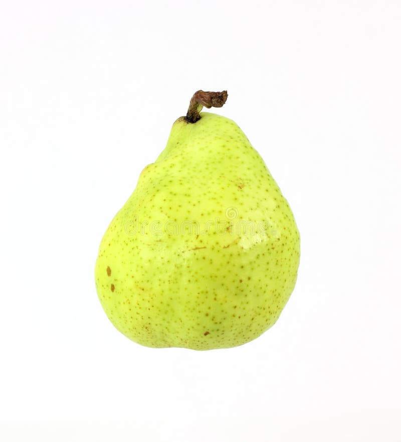 Front View Anjou Pear stock photo. Image of yellowish - 14588784