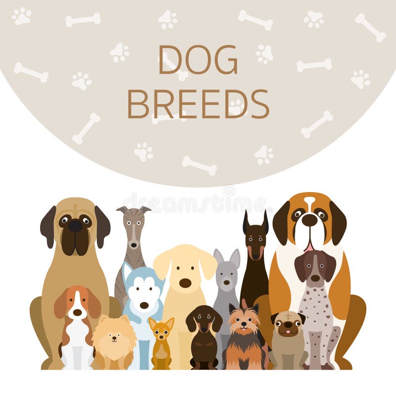 Group of Dog Breeds Illustration Stock Vector - Illustration of husky ...