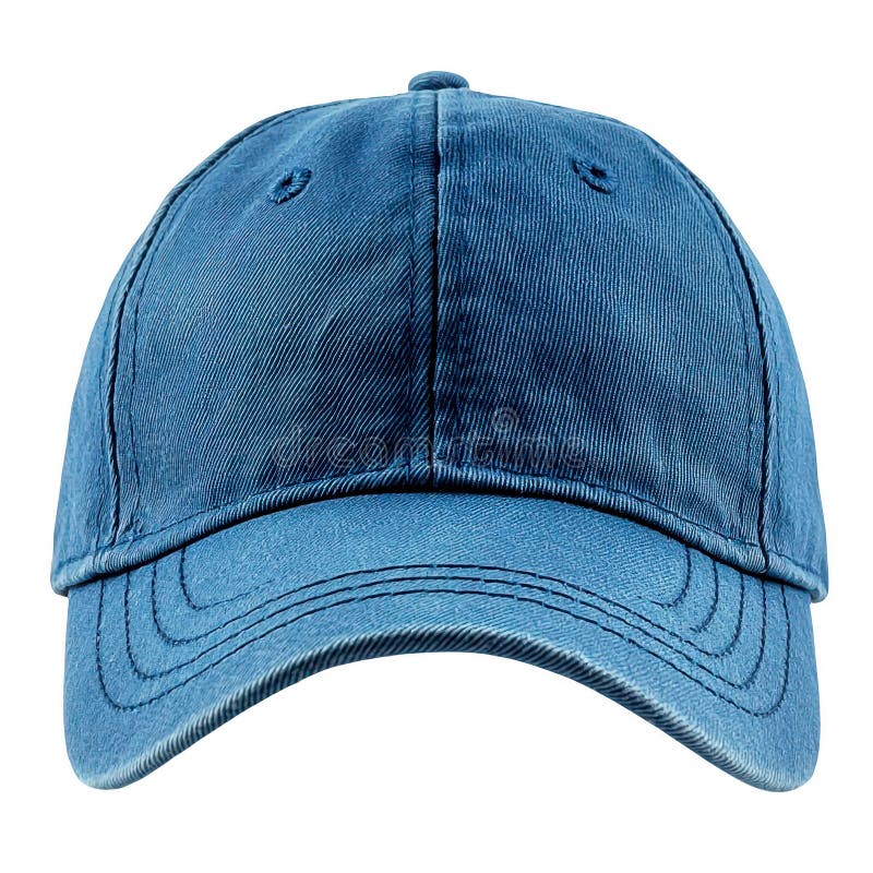 Front View of Black Wolf Looking at Camera Isolated on a Transparent ...