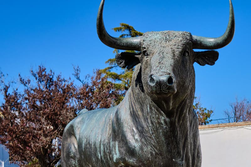 Front View of a Bull Statue in Bronze Stock Photo - Image of ...