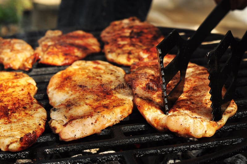 Front View of a Chicken Breast on a Grill Stock Photo - Image of crude ...