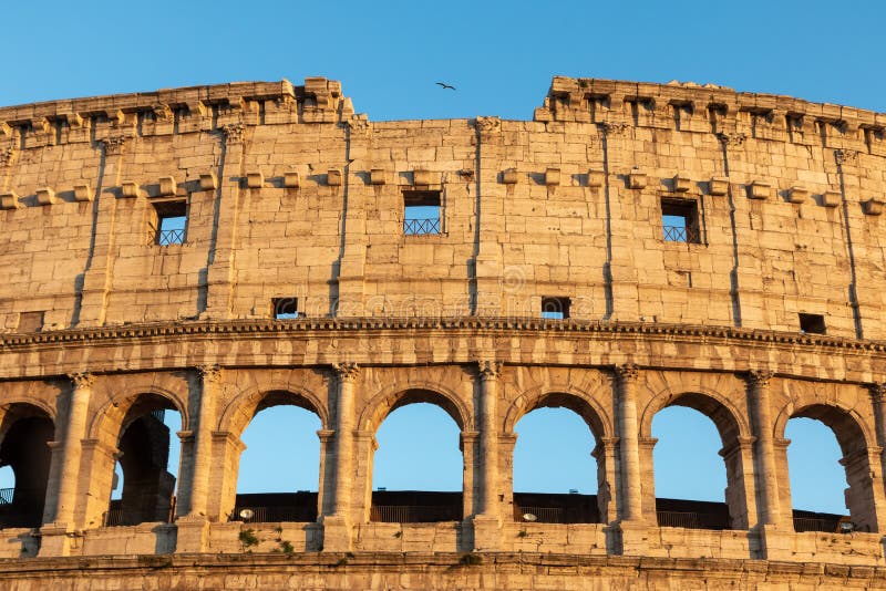Front View of the Colosseum in Rome in Sunset Light Stock Image - Image ...
