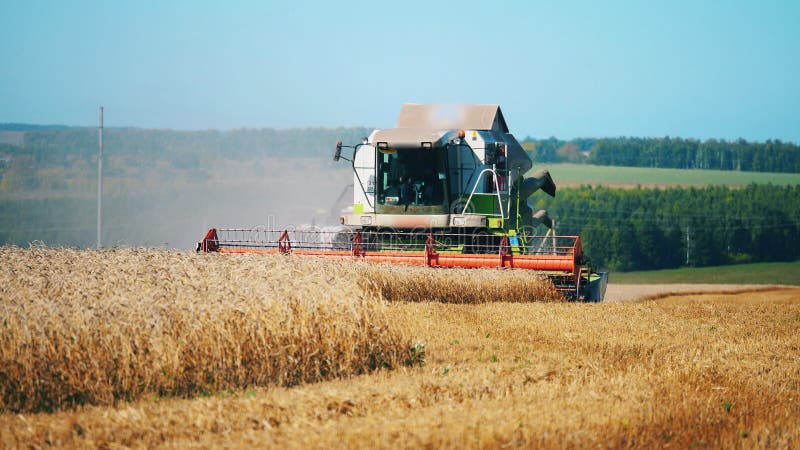 Combined Harvester Collecting Wheat or Barley Stock Photo - Image of ...