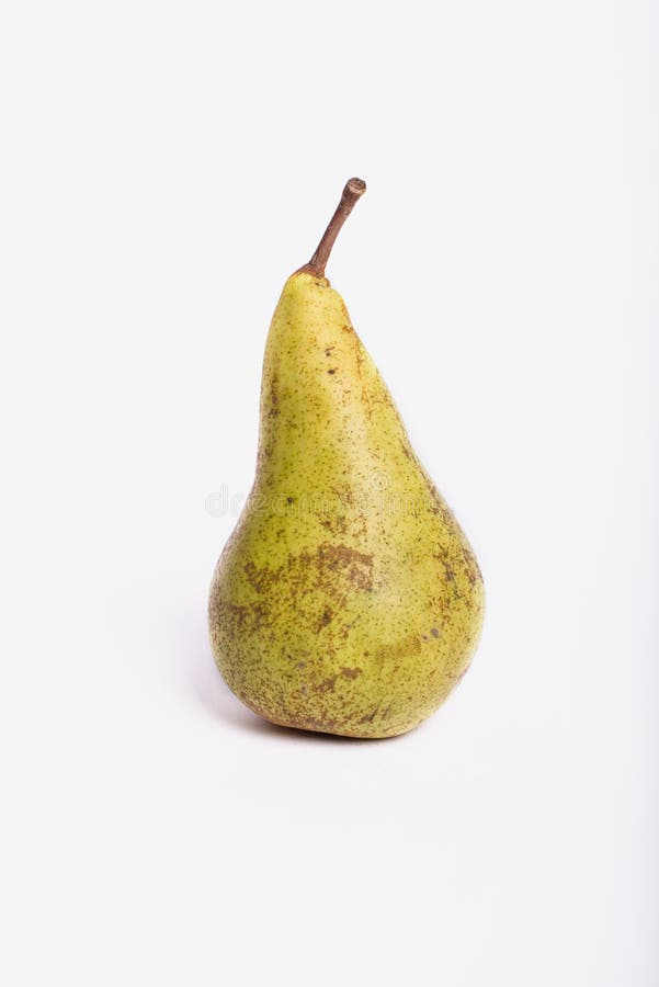 Front View of Conference Pear Isolated on White Stock Photo - Image of ...