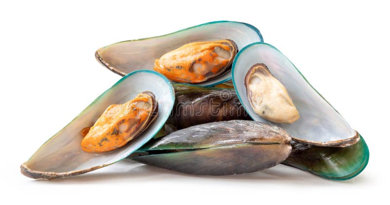 Front View of Cooked or Steamed Green Mussels in Stack Isolated on ...
