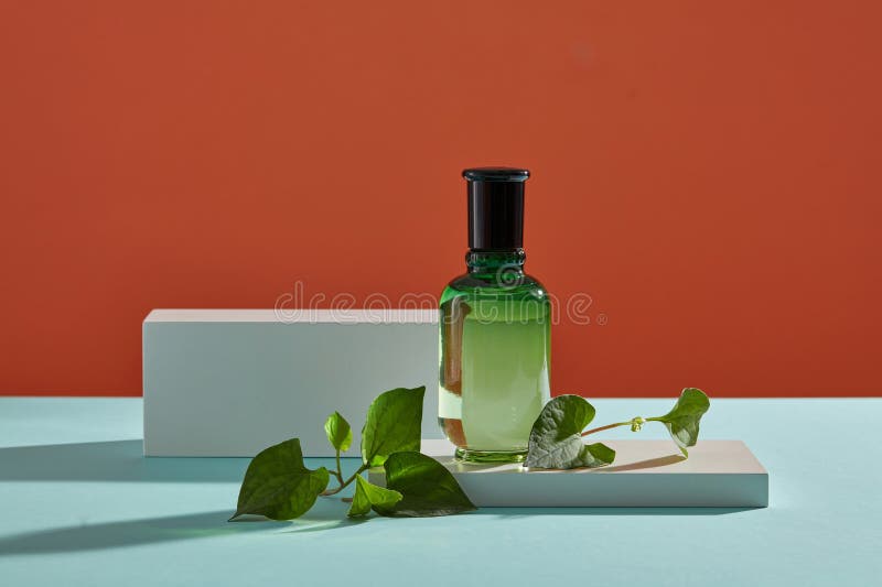 Fish Mint (Houttuynia Cordata) Extract Stock Illustration ...