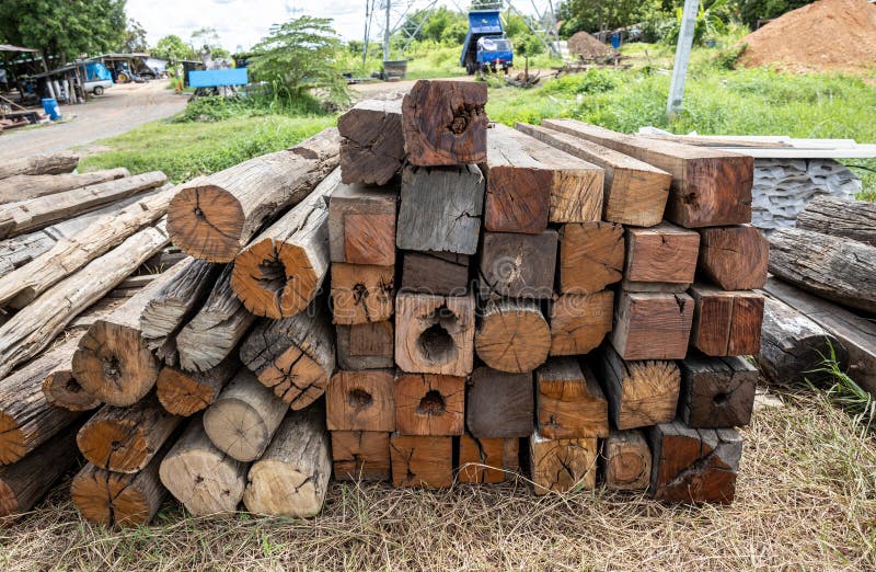 Section of the Circular Timber Stock Image - Image of pine, craft: 22513343