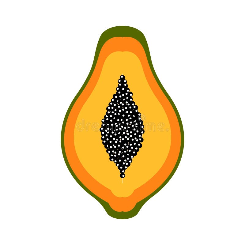 Papaya cut stock vector. Illustration of fruit, ingredient - 91018878