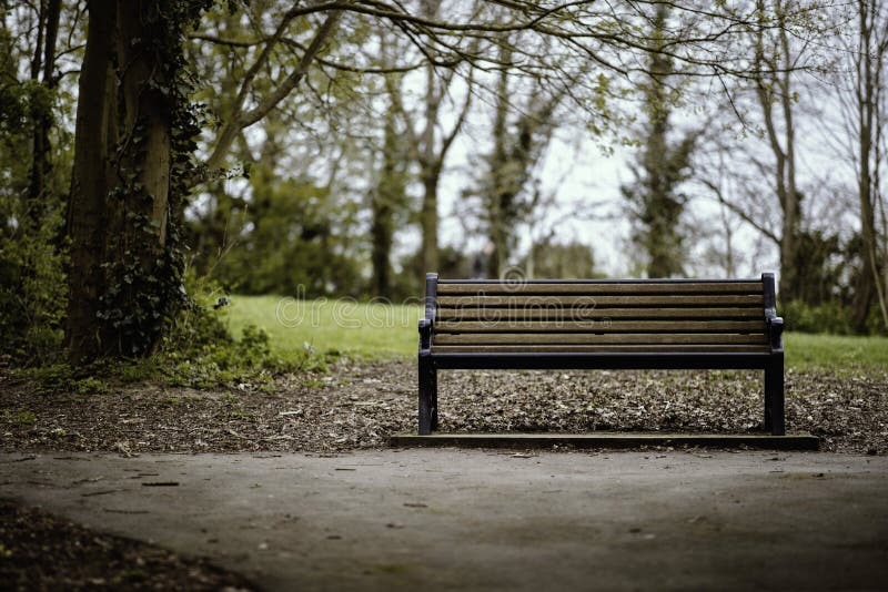 A lonely bench in the park stock image. Image of outdoors - 147161415