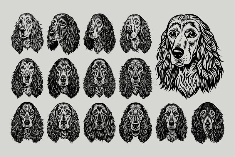 Cocker Spaniel Character Set Stock Illustrations – 249 Cocker Spaniel ...