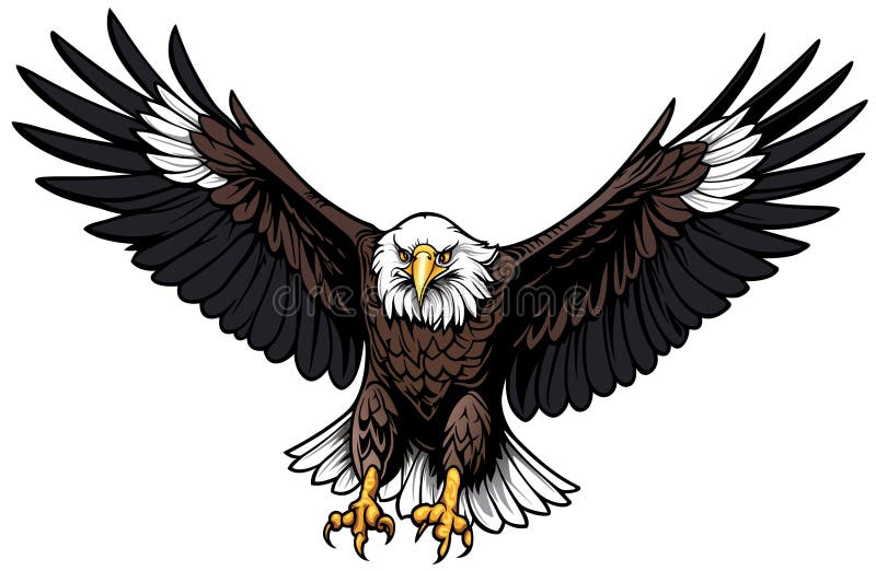 Flying Bald Eagle stock vector. Illustration of animal - 12685146