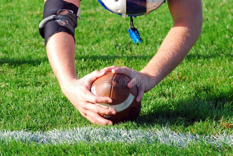 Snapper from the Front stock image. Image of view, highschool - 230388865