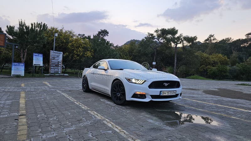 Front view Ford mustang editorial photo. Image of bumper - 391355531