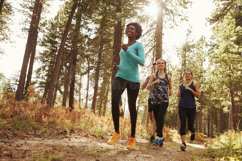 Front View of Four Adults Running in a Forest, Low Angle Stock Image ...
