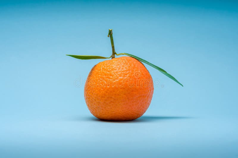Front View of Fresh Organic Tangerine on Blue Background Stock Image ...