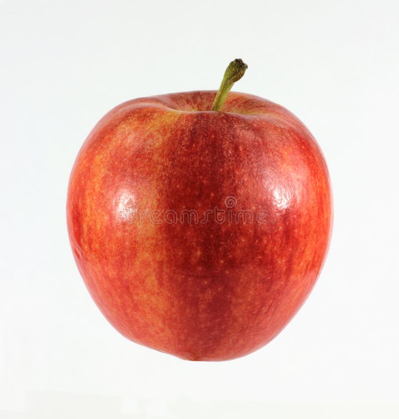 Front View Gala Apple stock photo. Image of firm, oval - 14644556