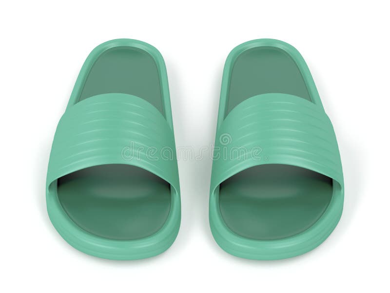 Front View Green Slippers Stock Illustrations – 7 Front View Green ...