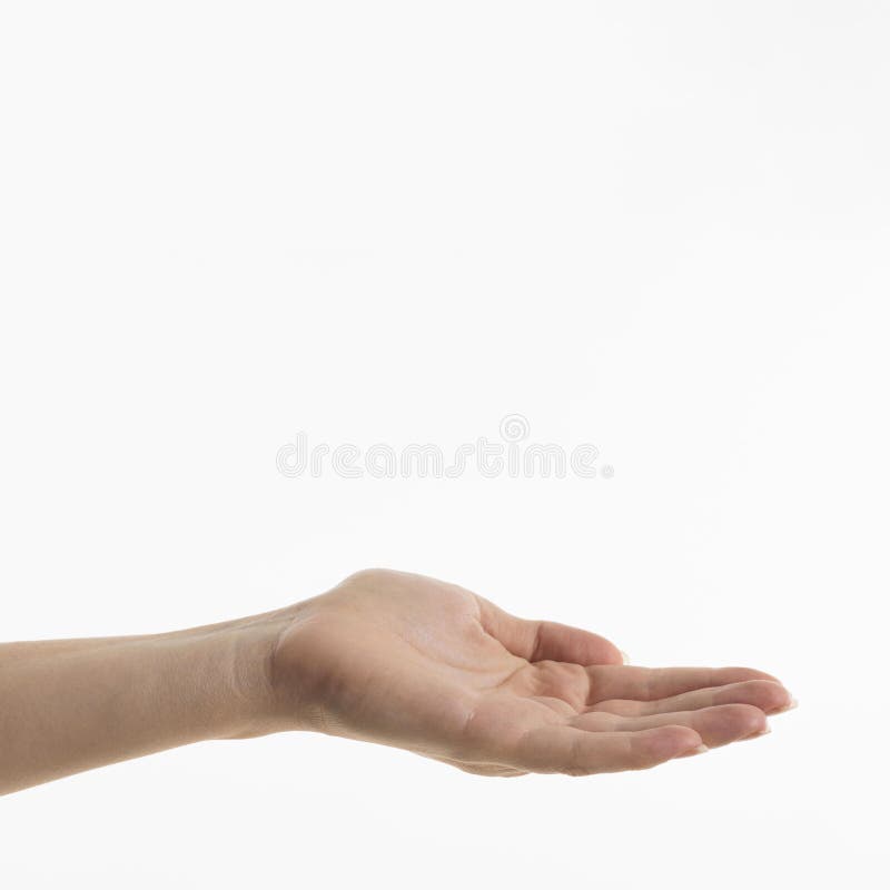 Front View Hand Asking Something. High Quality Photo Stock Image ...