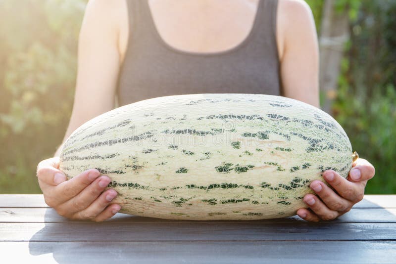 Front View of Holding a Big Melon, Summer Feeling Stock Image - Image ...