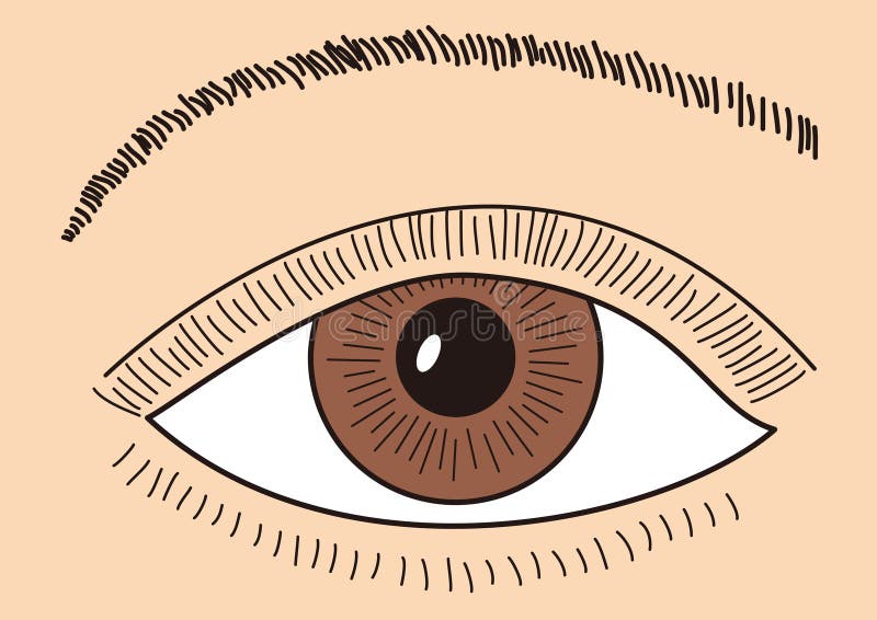 Front View of Human Eye Close Up Stock Vector - Illustration of medical ...