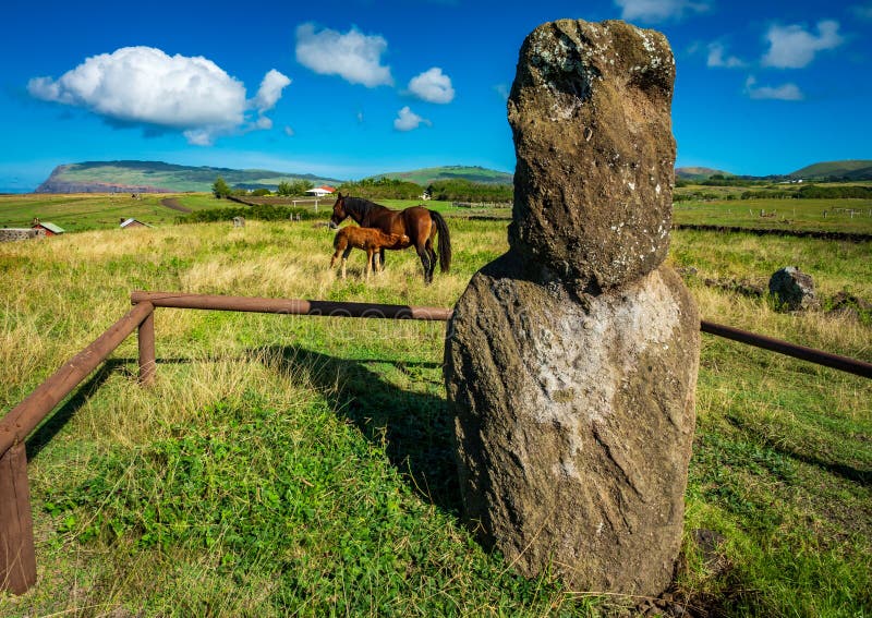 Isolated Moai Monument Stone Statue Face Close Up Vertical Portrait ...
