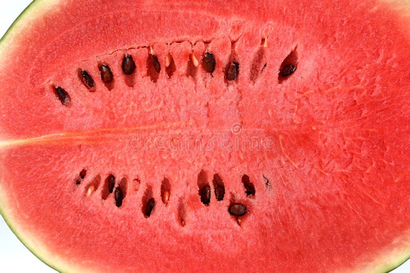 Front View of Juicy Watermelon Cut in Half with Seeds Stock Image ...