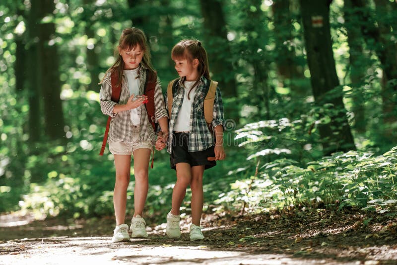 Front View. Kids in Forest at Summer Daytime Together Stock ...