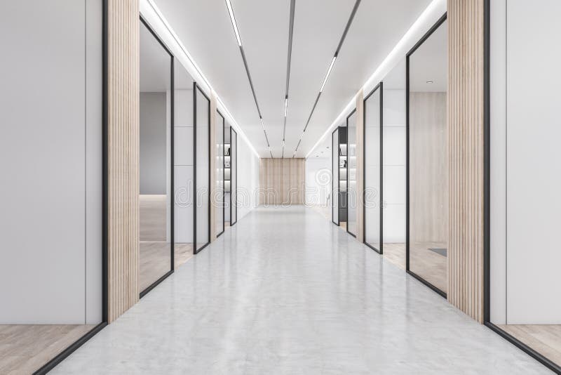 Front View on Light Spacious Office Corridor with Light Walls and ...