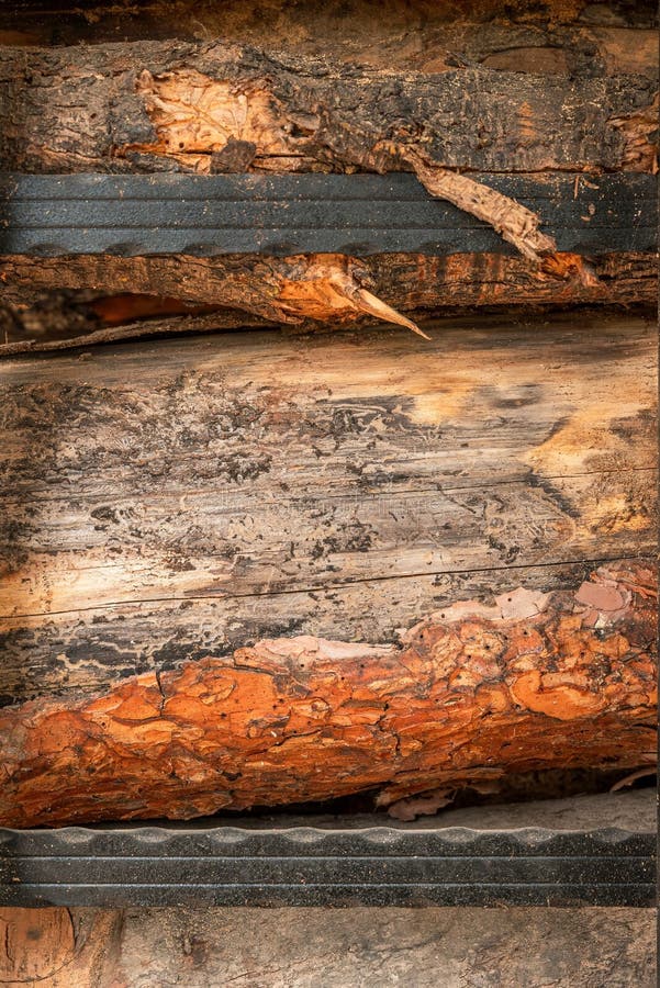 Front View of Log Wall Mounted with Wrought Iron Stock Image - Image of ...
