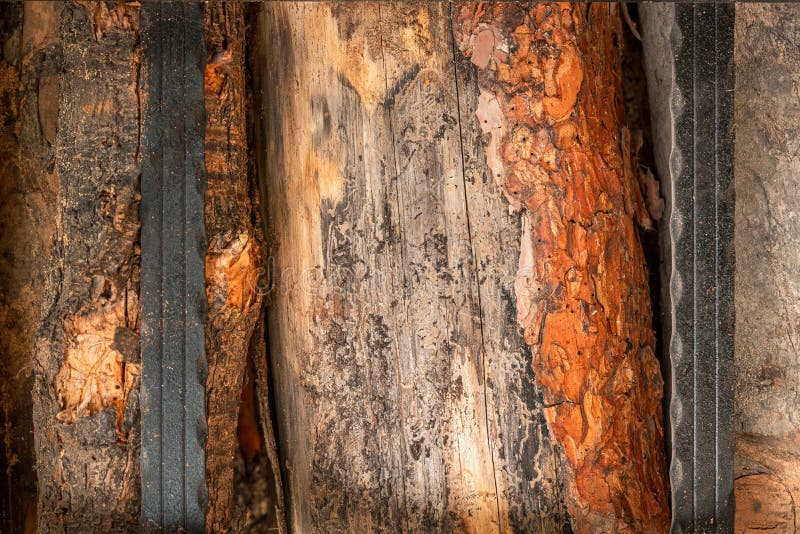Front View of Log Wall Mounted with Wrought Iron Stock Image - Image of ...