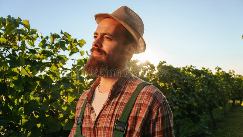 Front View Looking Distance Up Young Man Winemaker Hat Beard Enjoy Sun ...