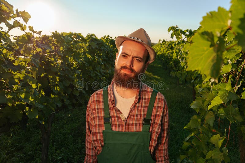 Front View Looking Distance Up Young Man Winemaker Hat Beard Enjoy Sun ...