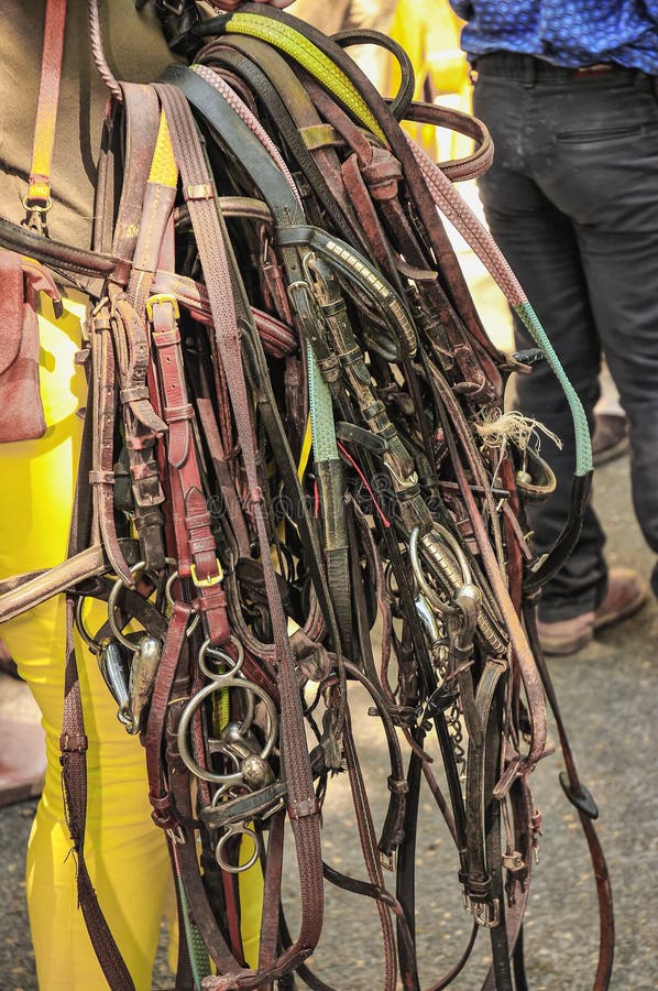 Leather Harnesses for Controlling and Riding Horses Stock Image - Image ...