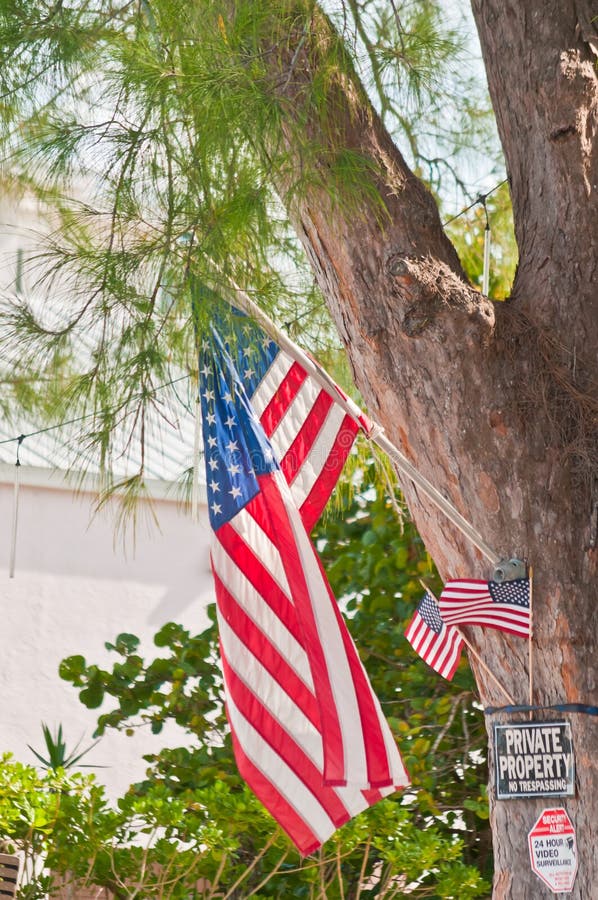 One Large and Two Small American Flag, Hung from a Tree Stock Photo ...