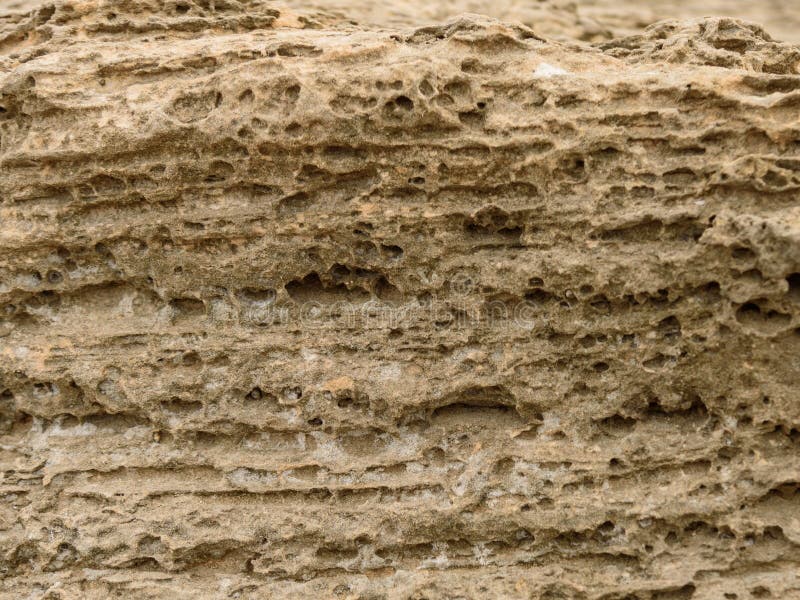 Front View of the Natural Background of Yellow Limestone with the Bumpy ...