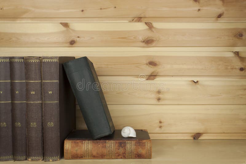 Front View of Old Books Stacked on a Shelf. Stock Image - Image of book ...