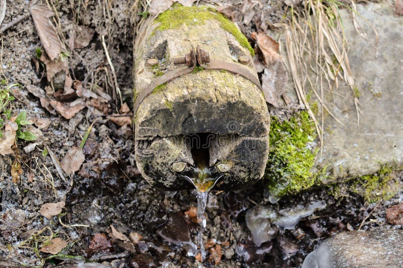 Front View of the Old Natural Brook Covered by Green Moss and Ice in ...