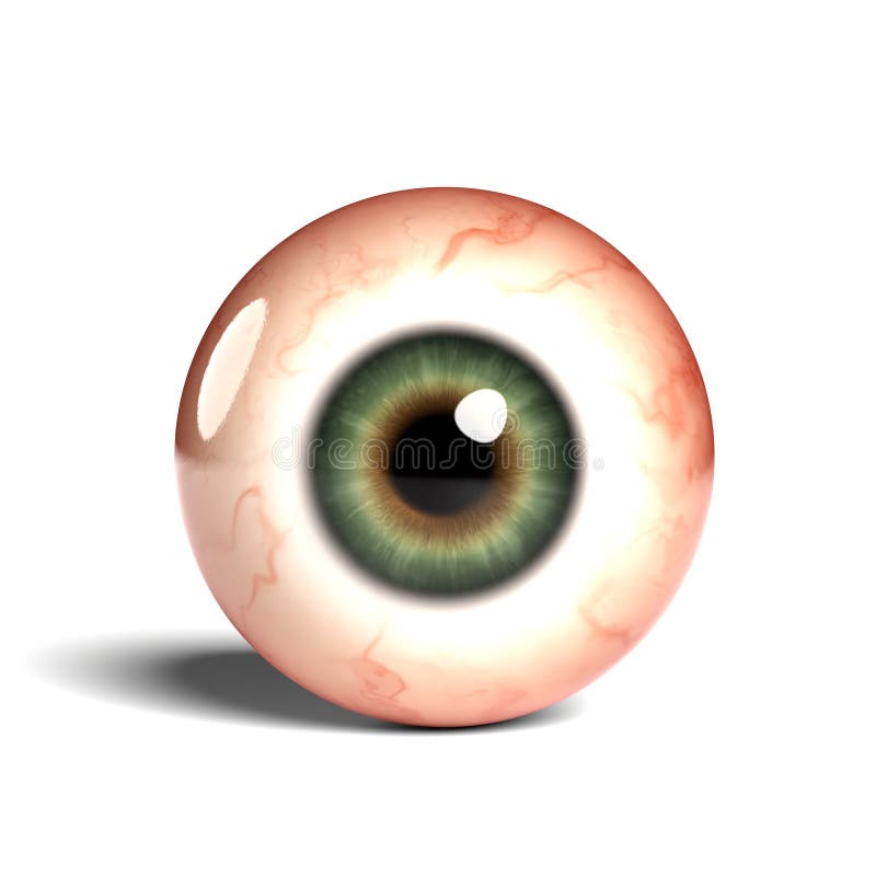 Front View of Realistic Human Eyeball Isolated on Wihte Background, 3D ...