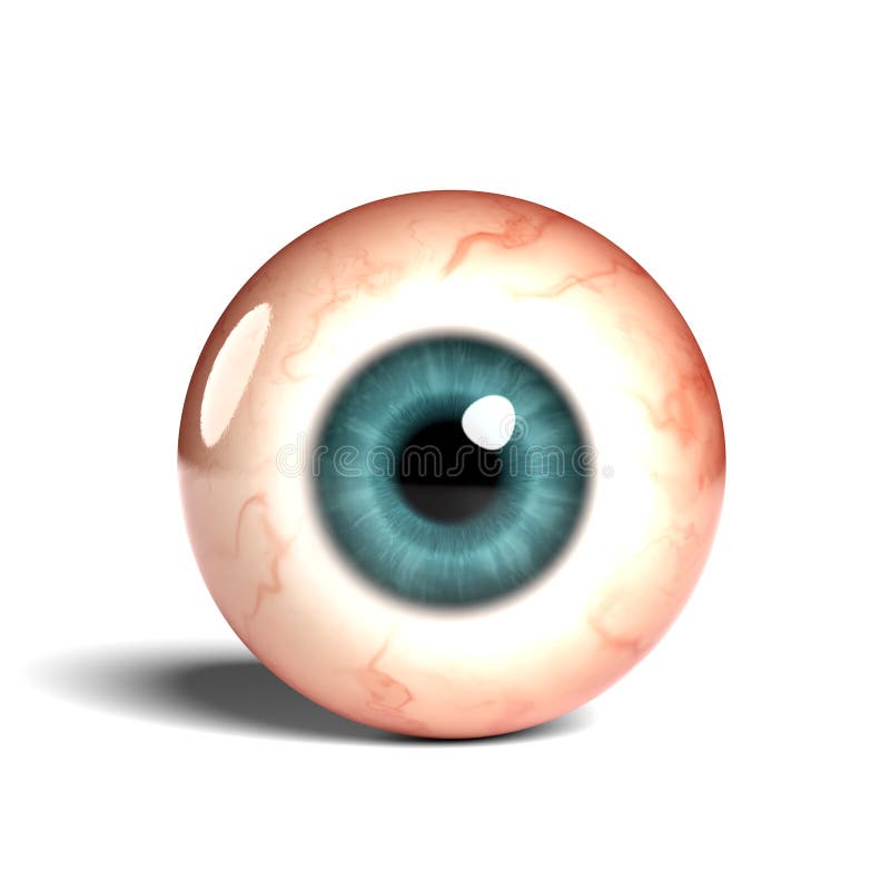 Eye Body Part Front View Stock Illustrations – 144 Eye Body Part Front ...