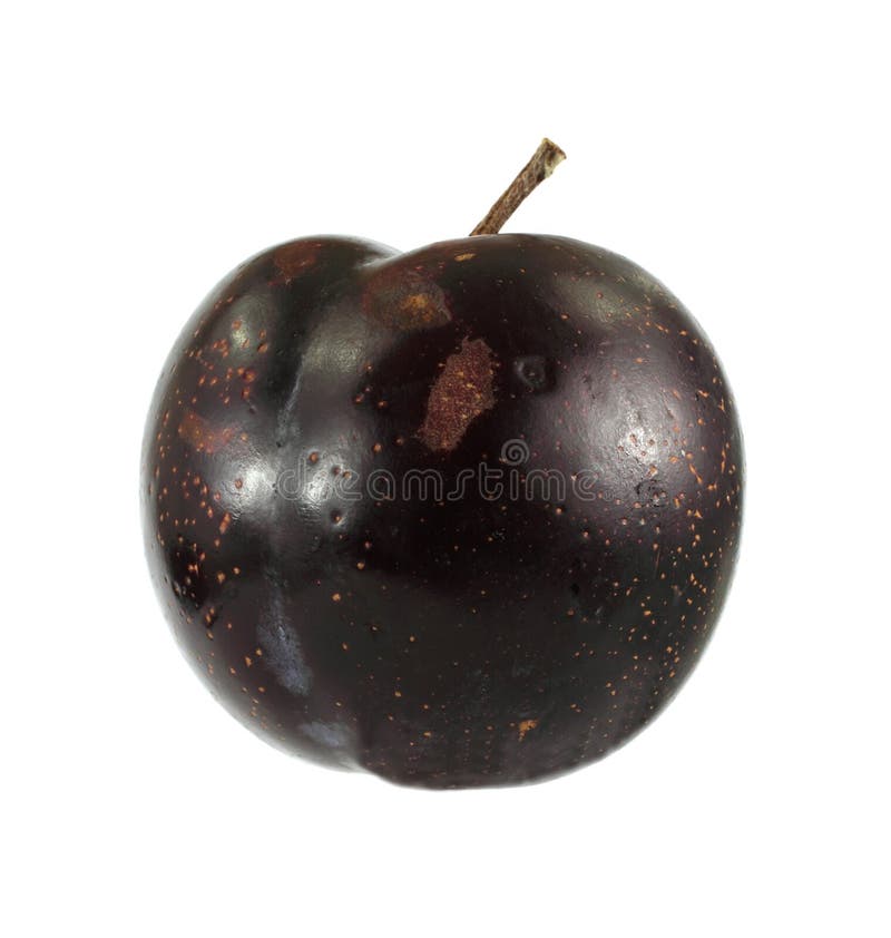 Front View Ripe Plum stock image. Image of nutritious - 14675269