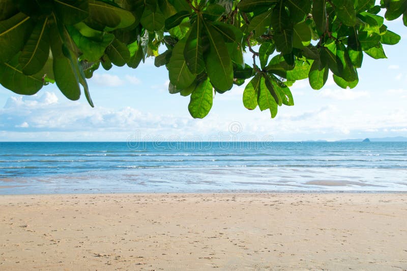 Front View Emerald Sea Waves and Sand Beach Stock Photo - Image of ...