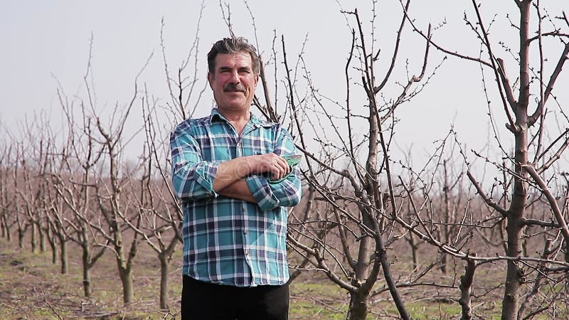 A Front View of Senior Farmer Standing in Orchard. Senior Farmer ...