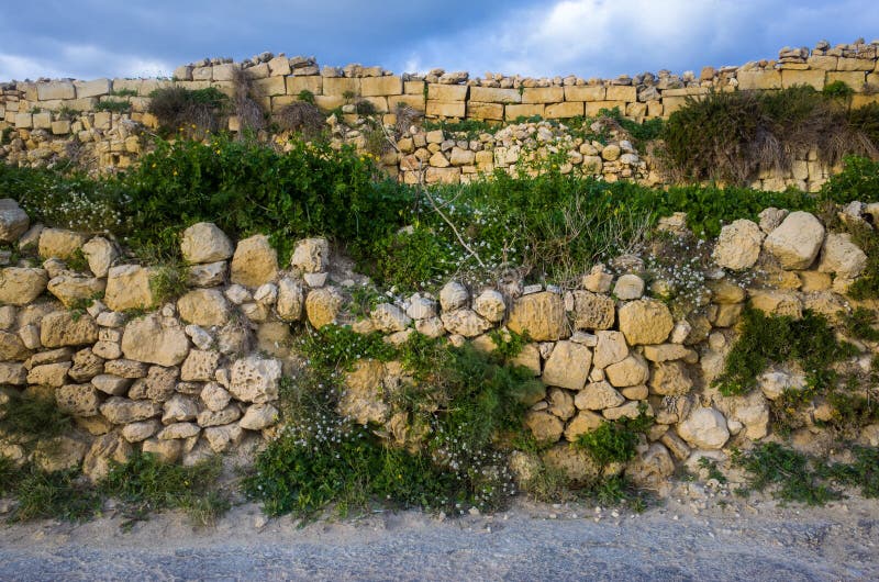 Front View Shot of a Short Stone Wall Covered in Plants on a Sunny Day ...