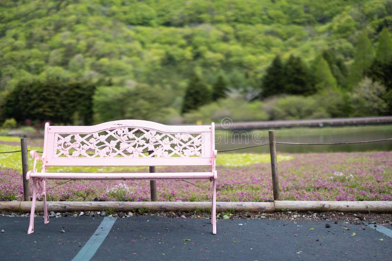 Front View of Single Empty Pink Bench in the Park on a Rainy Day Stock ...