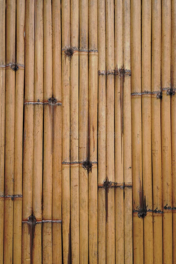 Front View Textured Brown Bamboo Background,nature, Copy Space Stock ...